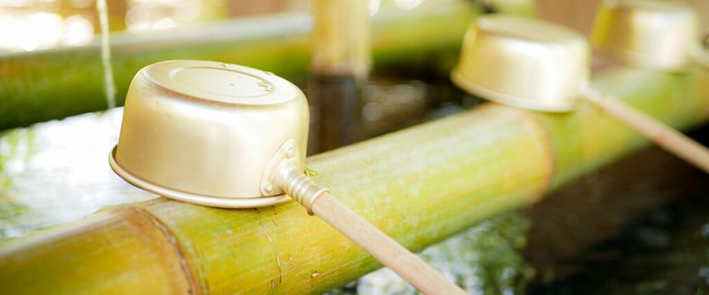 Bamboo, for a perfect complexion : revealing the secret of Chinese ...
